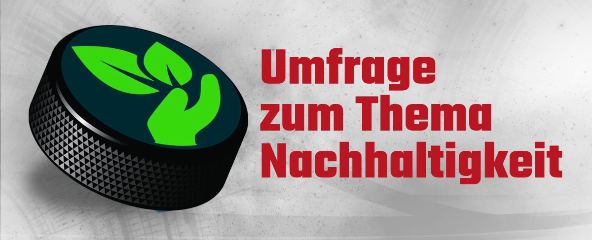 DEL2 | Fanumfrage Nachhaltigkeit